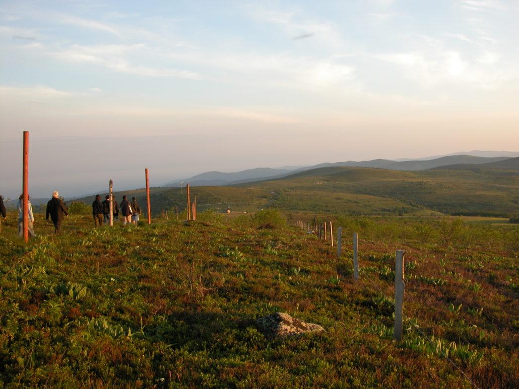 Monts du Forez - Parc naturel régional Livradois-Forez