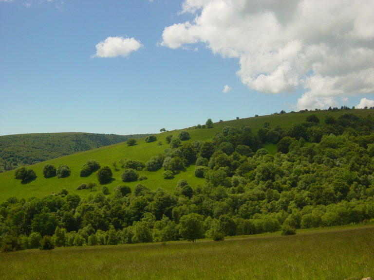 Monts du Forez - Parc naturel régional Livradois-Forez