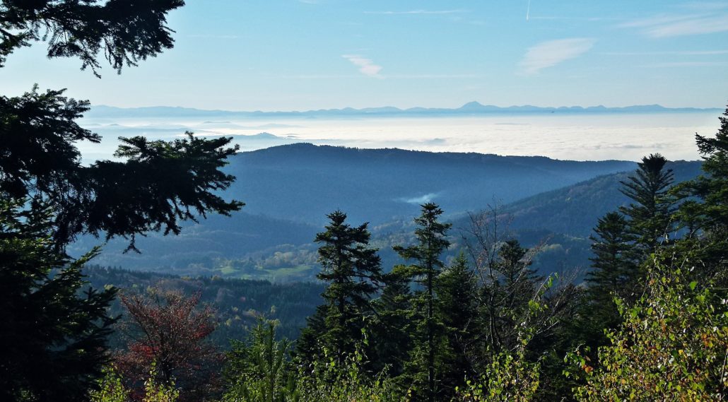 Monts du Forez - Parc naturel régional Livradois-Forez