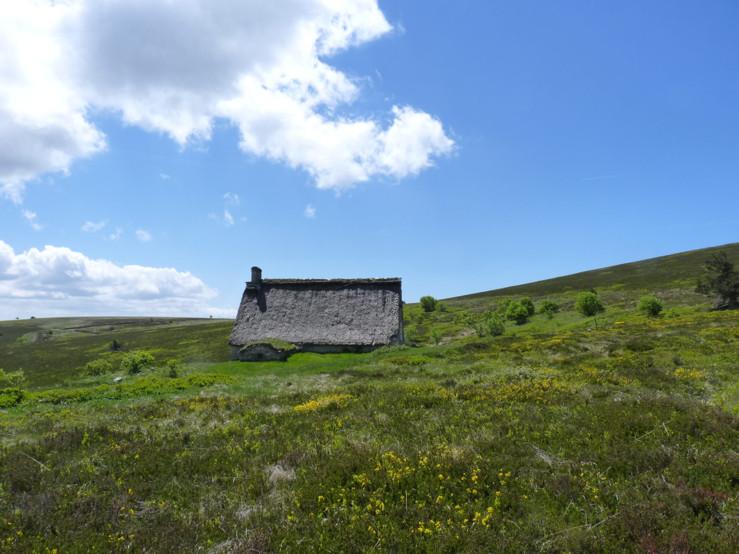 Monts du Forez - Parc naturel régional Livradois-Forez