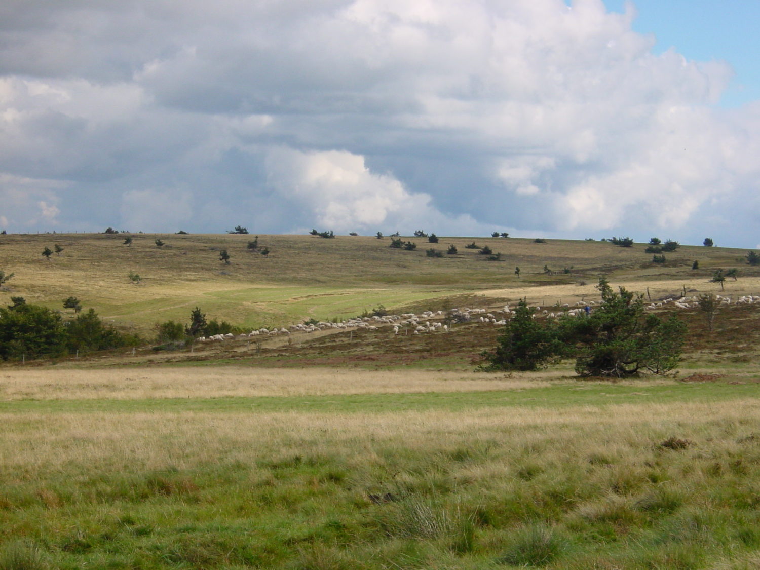 Monts du Forez - Parc naturel régional Livradois-Forez
