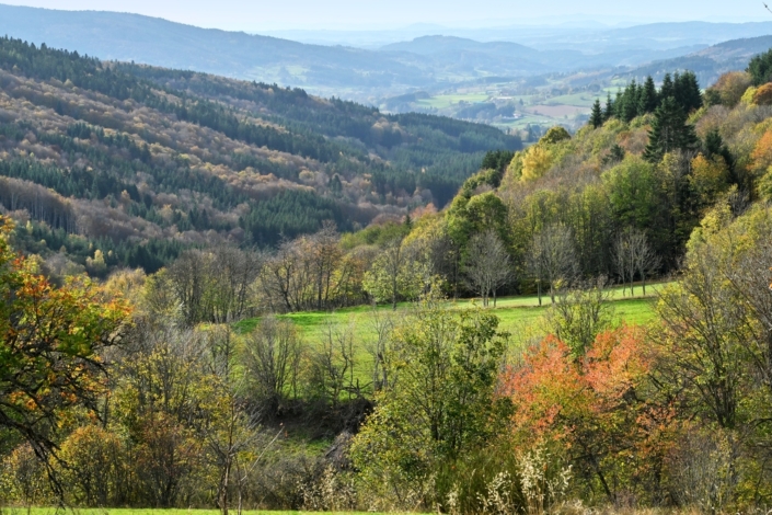 Maison du tourisme du Livradois-Forez - Parc naturel régional Livradois ...