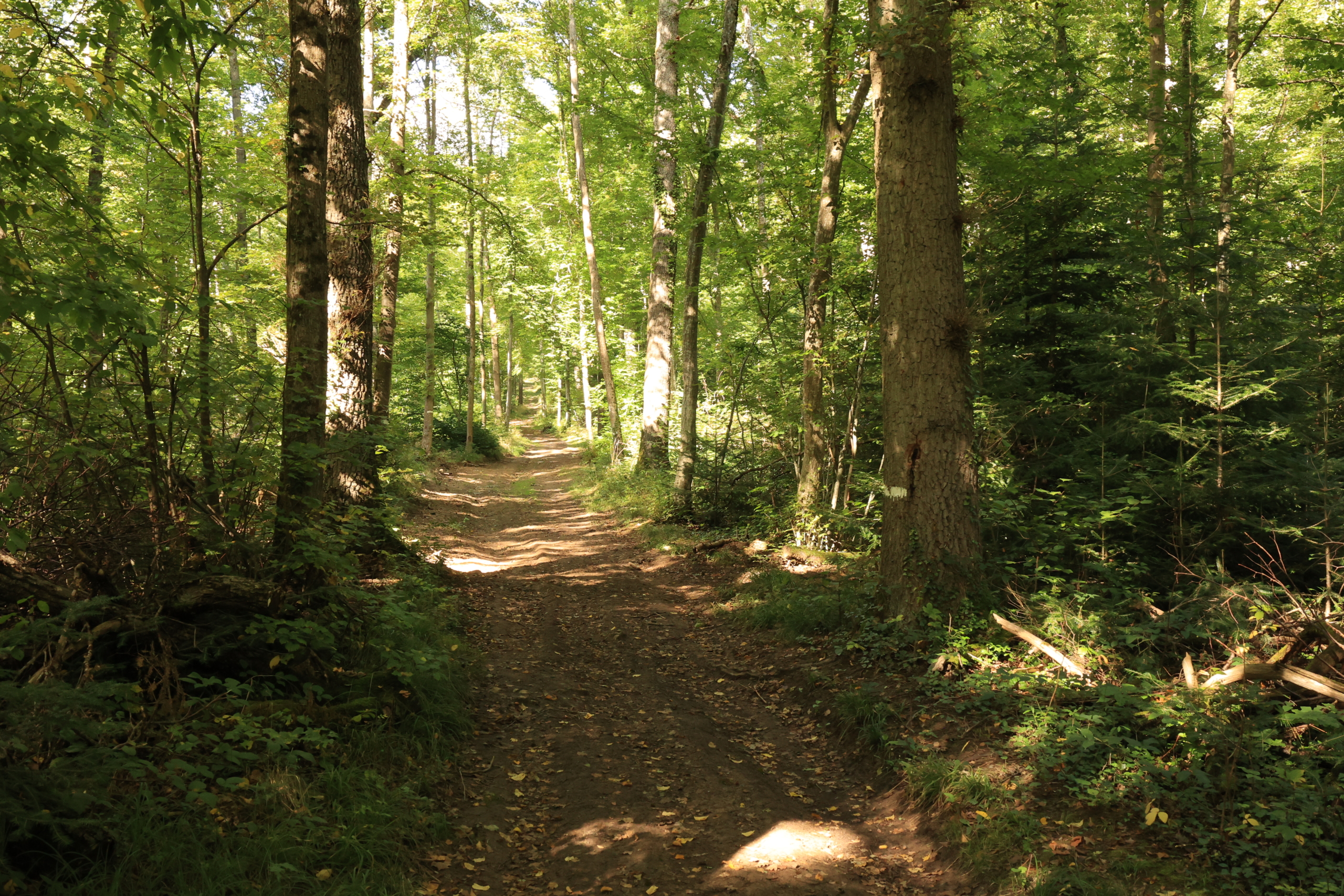 Comté d'Auvergne et Puy St-Romain - FR 8301049 - Parc naturel régional ...